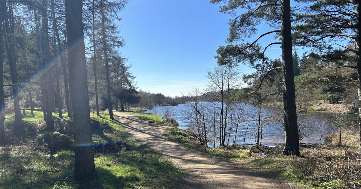 Cod Beck Reservoir Osmotherley short walk | The Walking Diary
