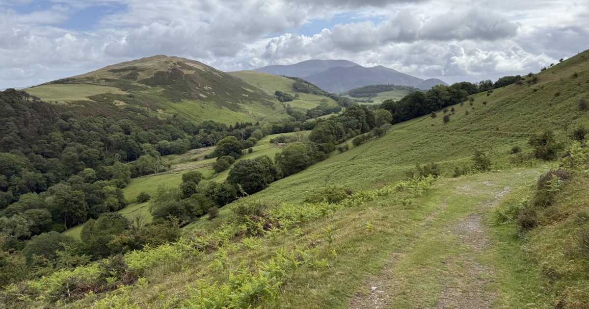 Ling Fell | The Walking Diary