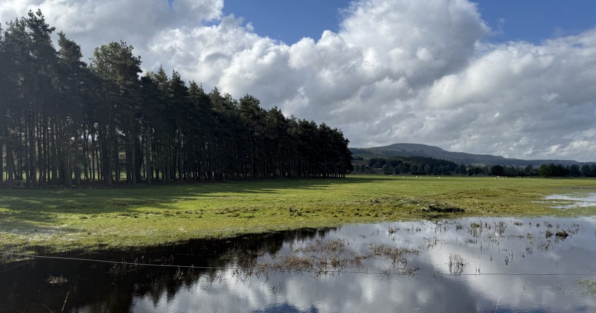 Middleham, Wensley, Harmby, Spennithorne and Ulshaw circular walk | The ...