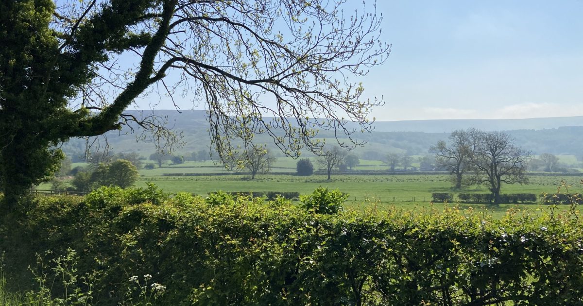 Nether Silton, Silton Forest, Black Hambleton & the Cleveland Way | The ...