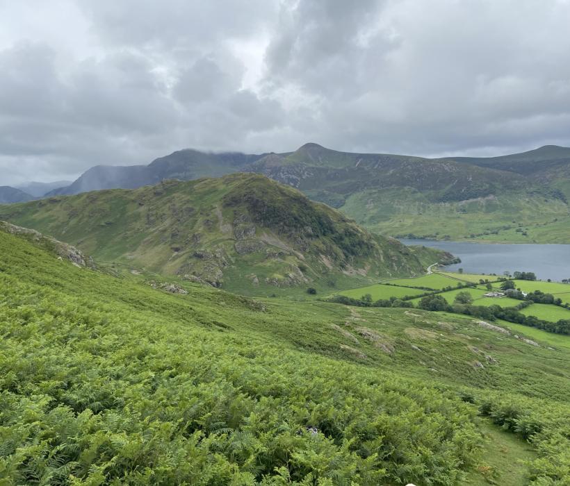 Whiteless Pike | Walking diary, guide, photos and maps.