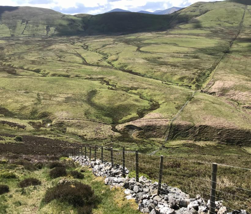 Ling Fell | Walking diary, guide, photos and maps.