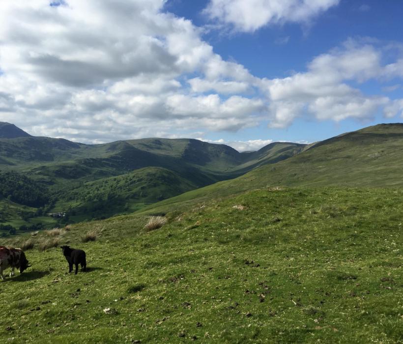 Sour Howes | Walking diary, guide, photos and maps.