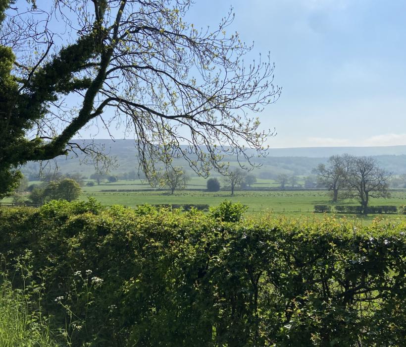 North Yorkshire Moors | Walking diary, guide, photos and maps.