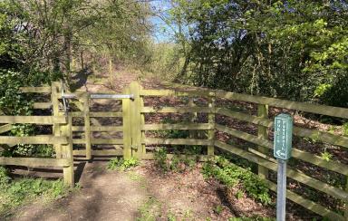 Byland Abbey & Kilburn circular walk | The Walking Diary