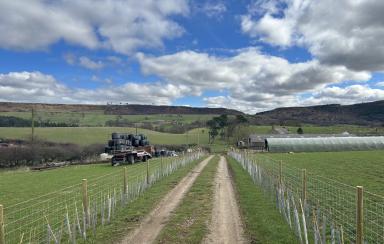 Captain Cooks Monument & Roseberry Topping circular walk | The Walking ...