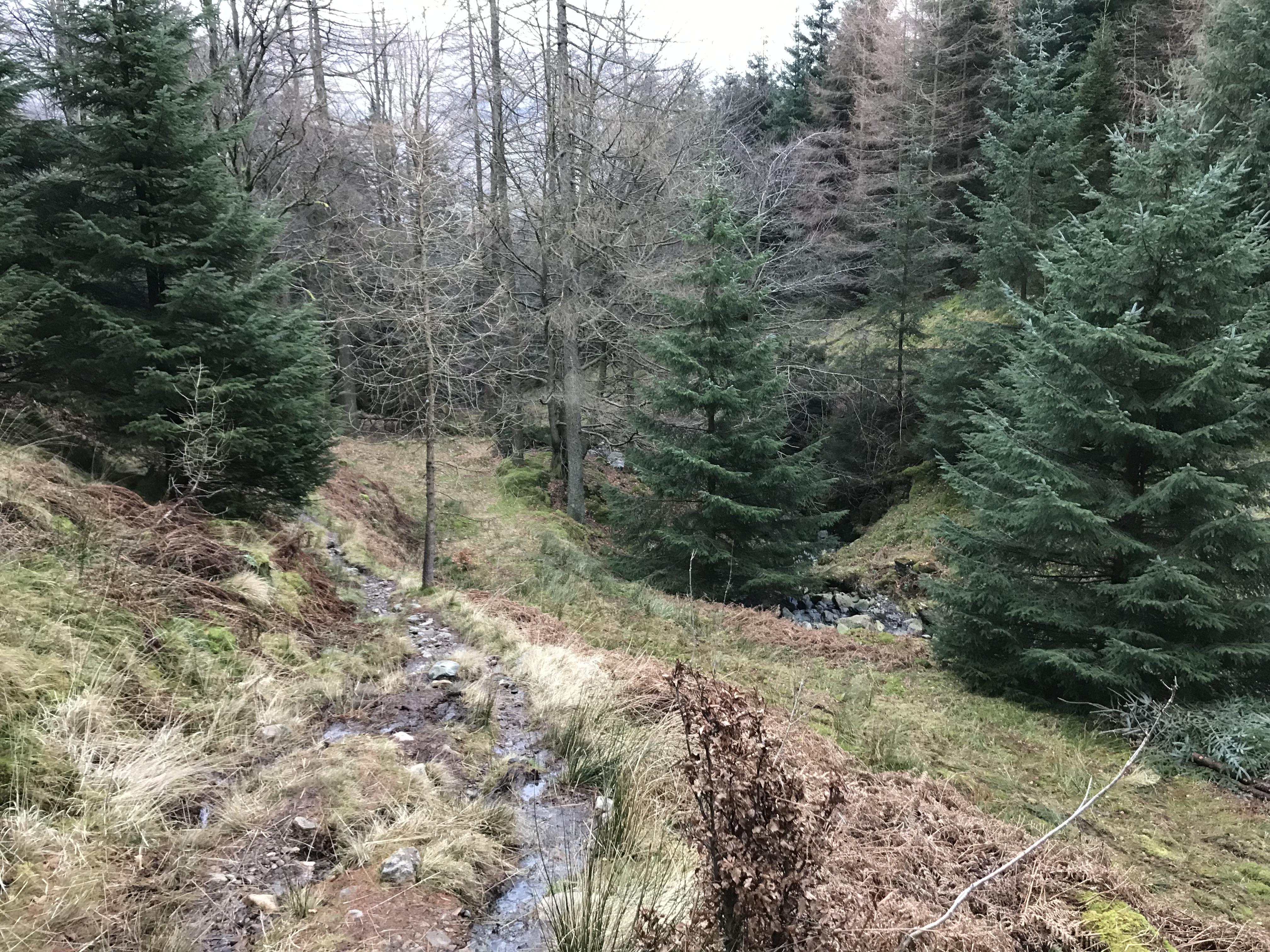 Steel Fell, Calf Crag, Seargent Man, High Raise & Ullscarf with a visit ...