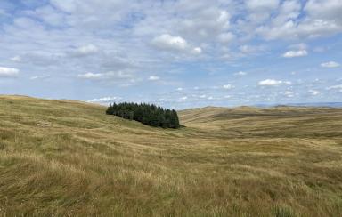 Grey Crag, Tarn Crag, Branstree & Selside Pike from Swindale Head | The ...