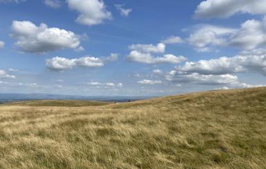Grey Crag, Tarn Crag, Branstree & Selside Pike from Swindale Head | The ...
