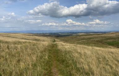 Grey Crag, Tarn Crag, Branstree & Selside Pike from Swindale Head | The ...