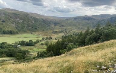 Grey Crag, Tarn Crag, Branstree & Selside Pike from Swindale Head | The ...