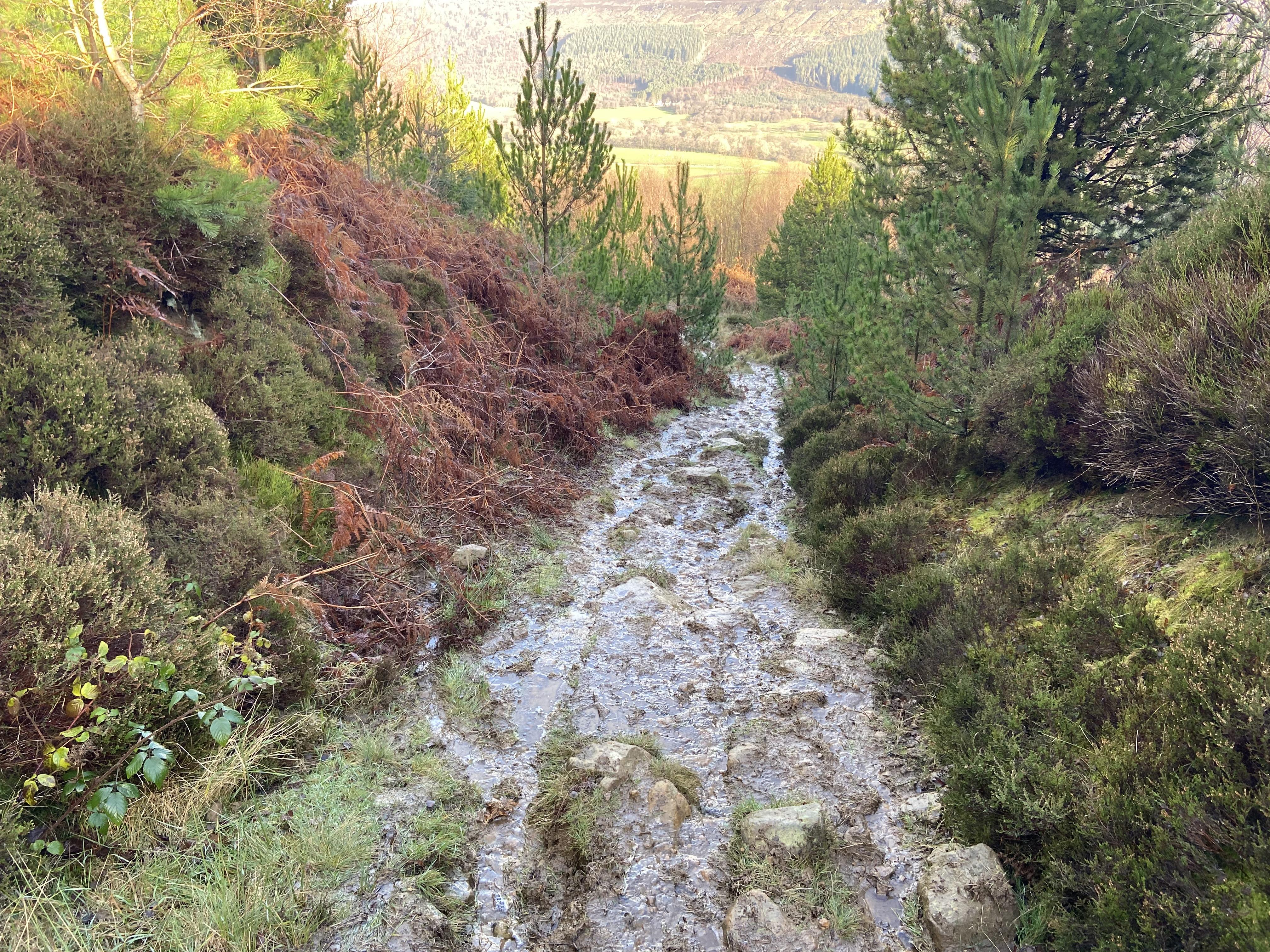 The Walking Diary | Ingleby Greenhow, Cleveland Way, Bloworth Crossing ...