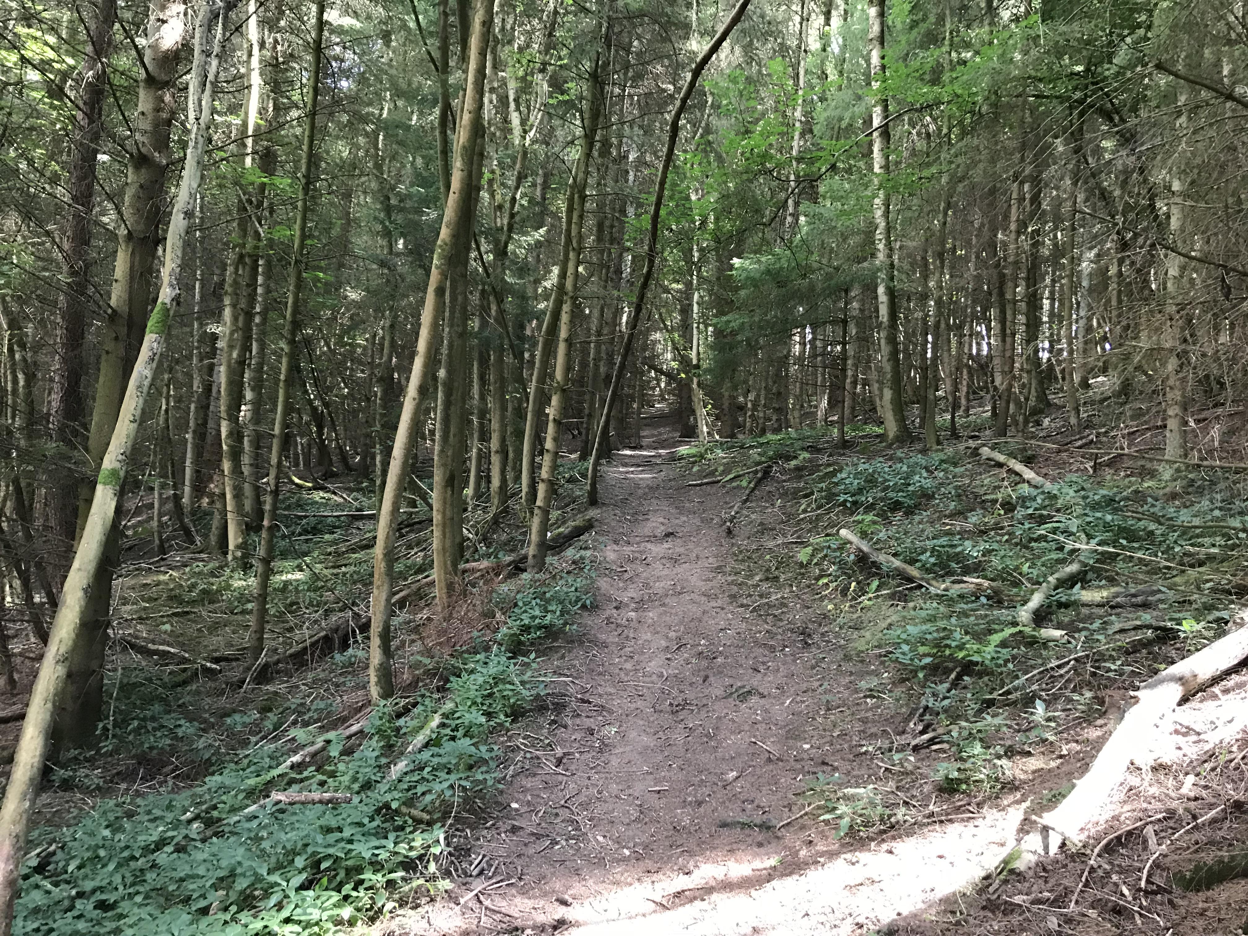 Middleton in Teesdale to Barnard Castle | The Walking Diary