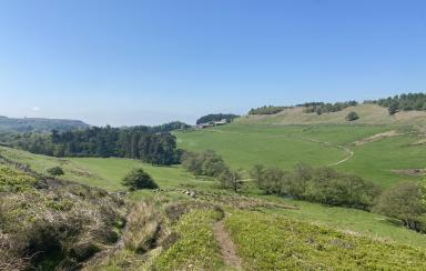 Nether Silton, Silton Forest, Black Hambleton & the Cleveland Way | The ...