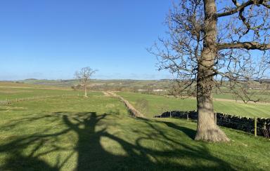 Richmond to Gilling West | The Walking Diary