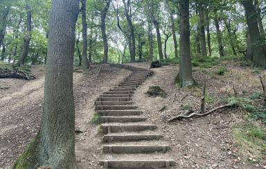 Roseberry Topping, Guisborough Woods, Highcliff Nab & Captain Cooks ...