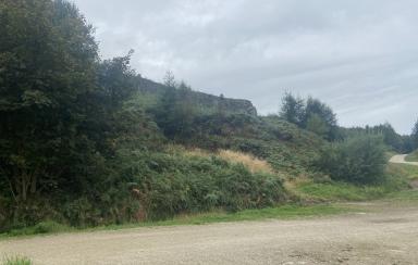 Roseberry Topping, Guisborough Woods, Highcliff Nab & Captain Cooks ...
