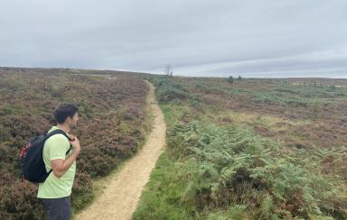 Roseberry Topping, Guisborough Woods, Highcliff Nab & Captain Cooks ...