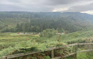 Roseberry Topping, Guisborough Woods, Highcliff Nab & Captain Cooks ...