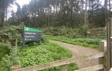 Roseberry Topping, Guisborough Woods, Highcliff Nab & Captain Cooks ...