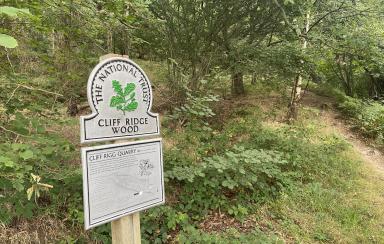Roseberry Topping, Guisborough Woods, Highcliff Nab & Captain Cooks ...