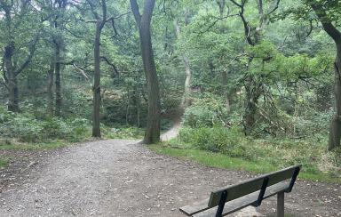Roseberry Topping, Guisborough Woods, Highcliff Nab & Captain Cooks ...