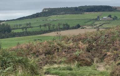 Roseberry Topping, Guisborough Woods, Highcliff Nab & Captain Cooks ...