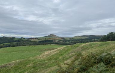Roseberry Topping, Guisborough Woods, Highcliff Nab & Captain Cooks ...