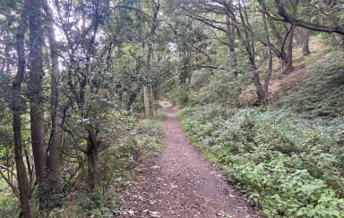 Roseberry Topping, Guisborough Woods, Highcliff Nab & Captain Cooks ...