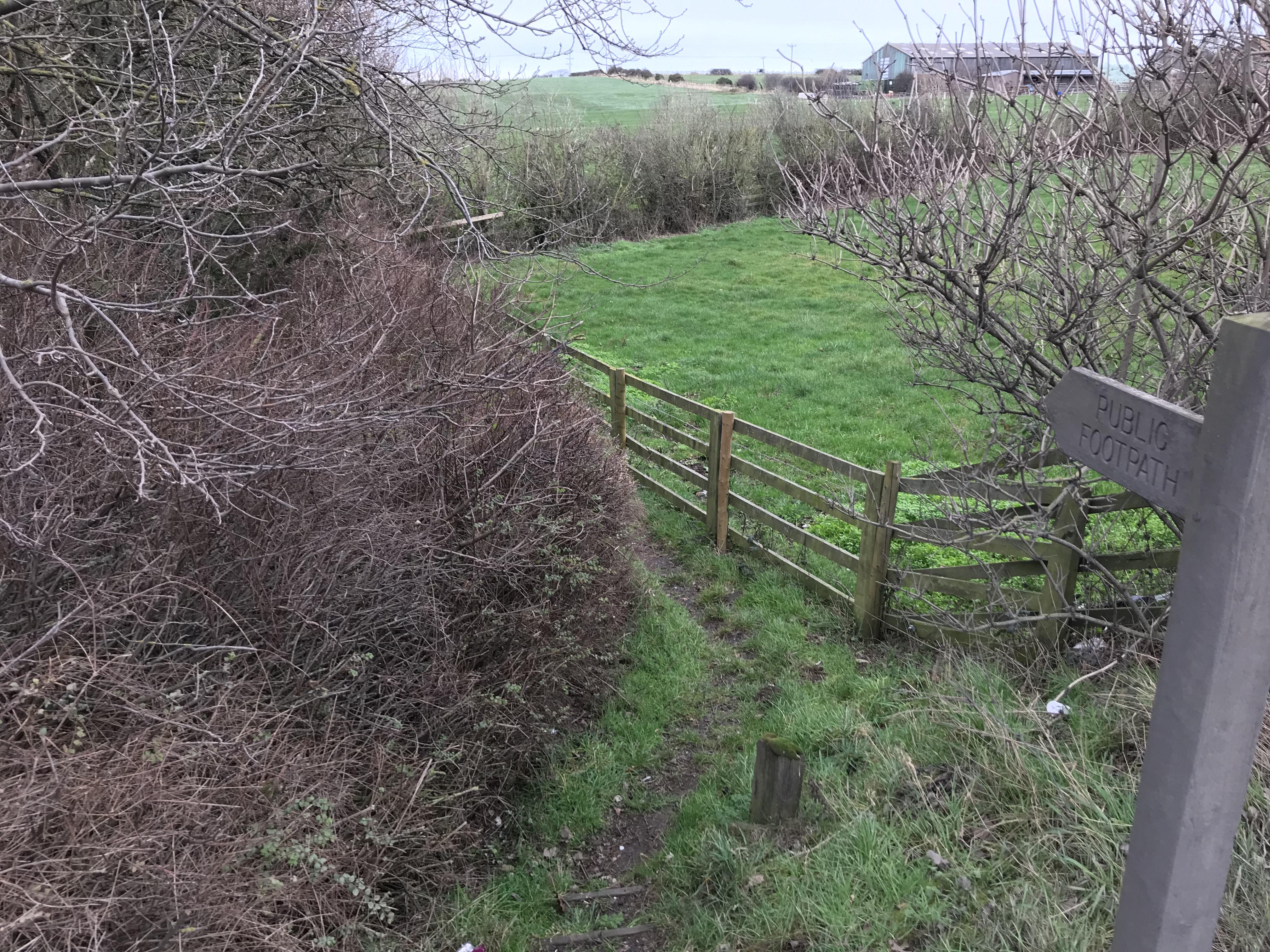 Ruswarp, Stainsacre, Cleveland Way (Coast), Whitby circular | The ...