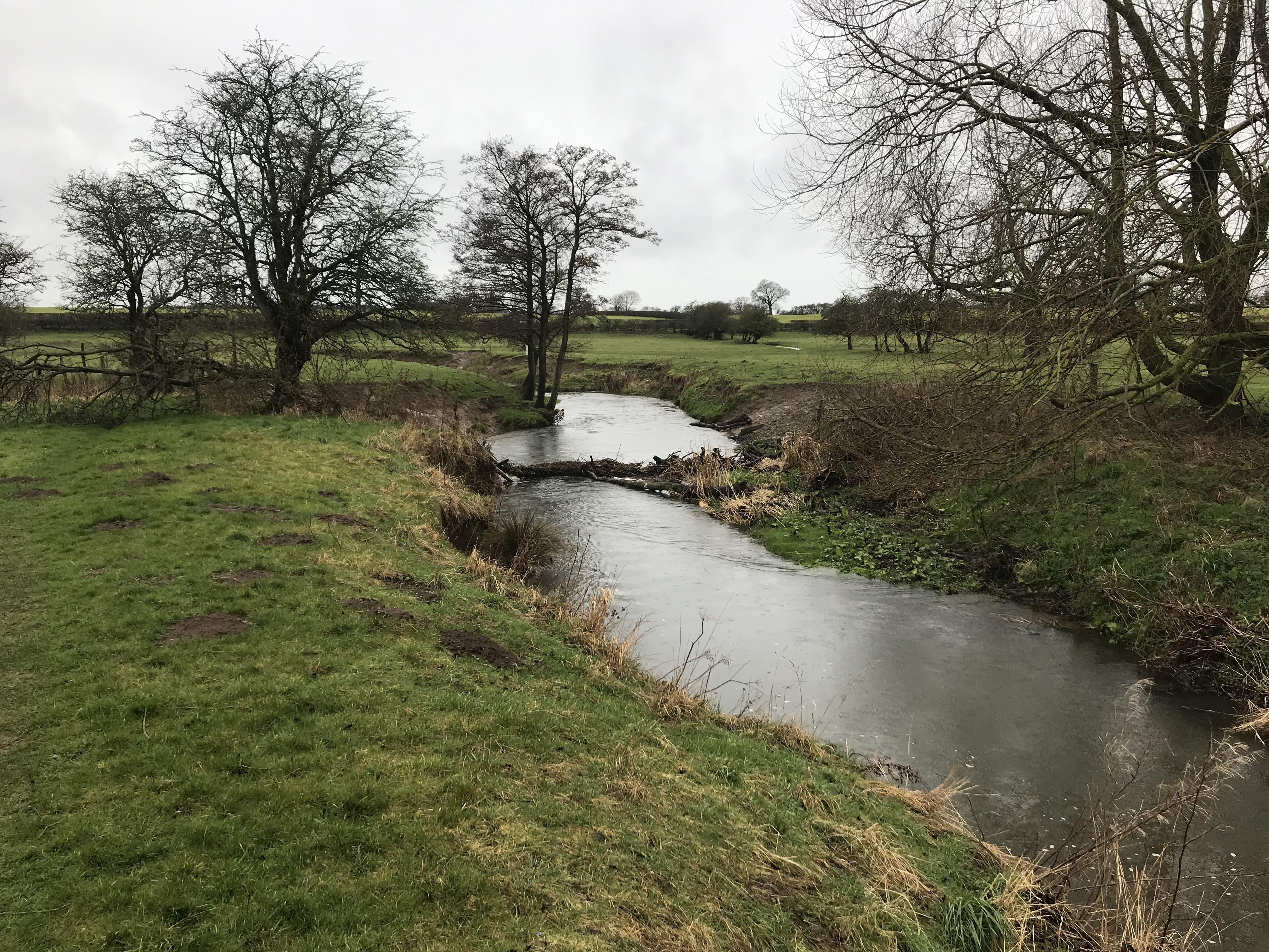 The Walking Diary | South Kilvington to Thirsk circular | The Walking Diary