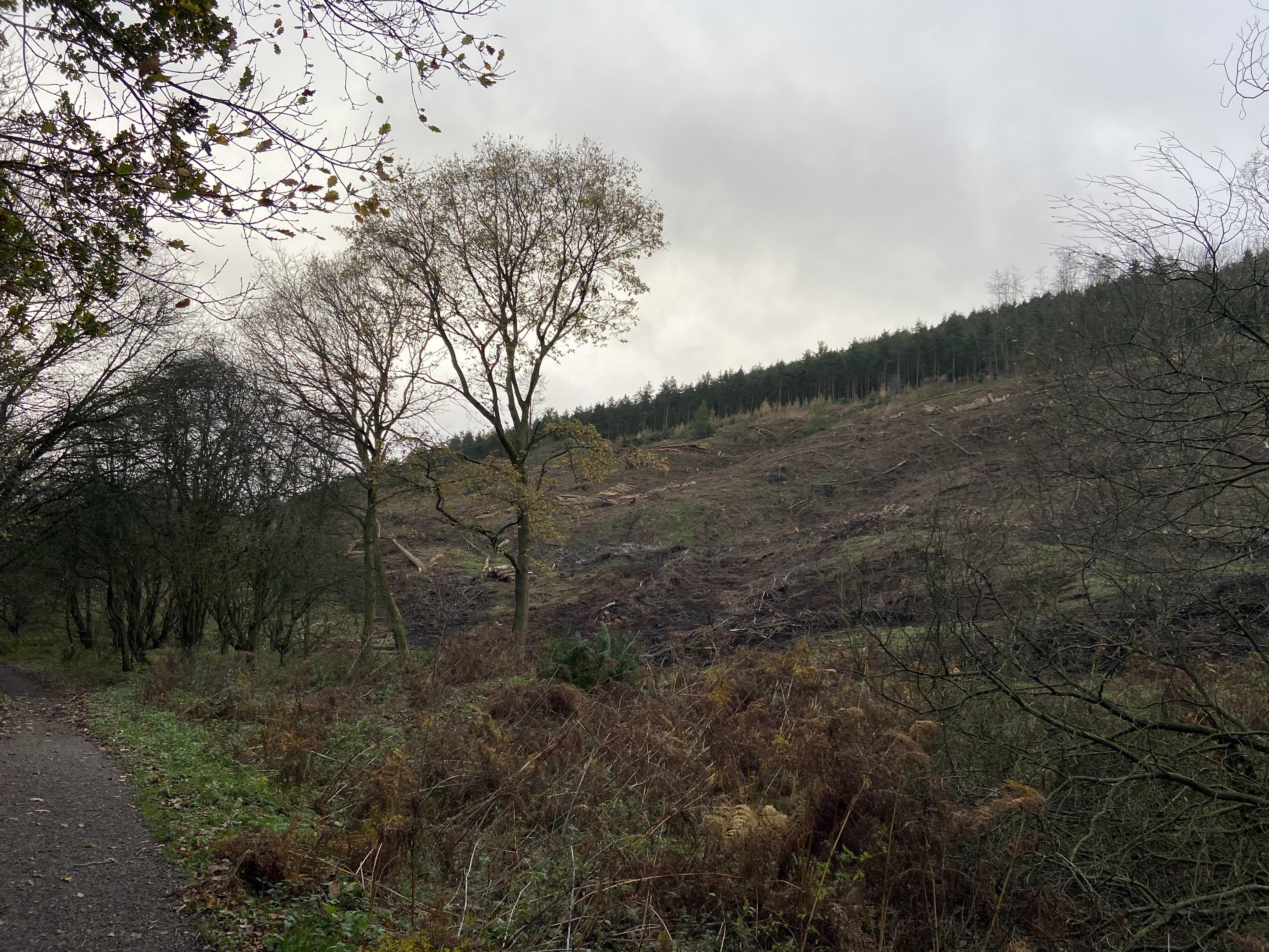 The Walking Diary | Swainby, Carlton Bank, Lord Stones, Kirkby, Carlton ...